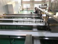 China Microwave Tunnel Conveyor Belt Type Black Soldier Fly Dryer Drying Machine with food stardard material for sale
