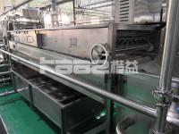 China Microwave Tunnel Conveyor Belt Type Black Soldier Fly Dryer Drying Machine with food stardard material for sale