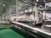 China Continuous Seaweed Mesh Conveyor Belt Dryer Onion Moringa Leaf Red Chilli Drying Machine for sale