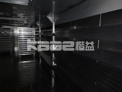 China Hot Air Conveyor Tray Continuous Mesh Belt Dryer Drying Machine For Fruits And Vegetables for sale