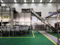 China Hot Air Conveyor Tray Continuous Mesh Belt Dryer Drying Machine For Fruits And Vegetables for sale