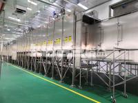 China Hot Air Conveyor Tray Continuous Mesh Belt Dryer Drying Machine For Fruits And Vegetables for sale