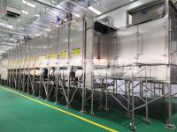 China Hot Air Conveyor Tray Continuous Mesh Belt Dryer Drying Machine For Fruits And Vegetables for sale