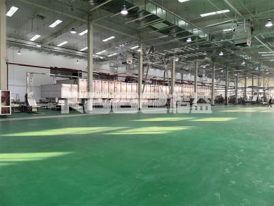 China Air Energy Industrial Conveyor Dryer Machine Cabbage Spinach Herb Vegetable Dryer Machine for sale
