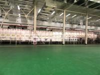 China Industrial Stainless Forced Air Conveyor Dryer Microwave Drying Machine For Herbs Leaves Tea for sale