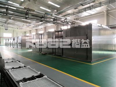 China Hot Air Conveyor Dryer Machine Konjac Jam Cassava Continuous Tunnel Dryer for sale