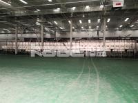 China Hot Air Circulation Tunnel IR Dryer Conveyor Belt Commercial Fruit Drying Machine For Drying Glass for sale