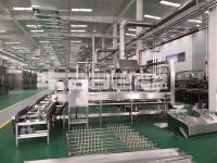 China Fruit Vegetable Dryer Dehydrator Continuous Conveyor Tunnel Dryer Machine Chili Drying Machine for sale