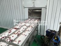 China Vegetable Scraps Dryer Conveyor Tunnel Dryer Machine Conveyor Belt Drying System for sale