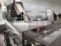 China SUS304 Industrial Conveyor Dryer Machine Mesh Belt Dryer Crisp For Fruit Cassava for sale