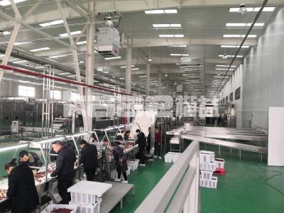 China SUS304 Industrial Conveyor Dryer Machine Mesh Belt Dryer Crisp For Fruit Cassava for sale
