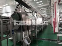 China Microwave Sterilizer Tunnel Dryer Machine Pepper Powder Tea Herbs Leaves Spice Grain Sterilization Dryer Drying Machine for sale