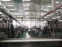 China Boiler Conveyor Dryer Machine Stainless Steel Vegetable Fruit Dehydrator for sale