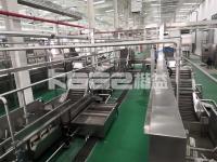 China Industrial Tunnel Conveyor Dryer Machine Microwave Sterilization Dryer Machine For Herbs for sale