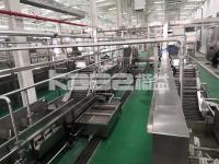 China Industrial Tunnel Conveyor Dryer Machine Microwave Sterilization Dryer Machine For Herbs for sale