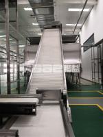 China Fruits Vegetables Mesh Belt Dryer Machine Conveyor Pet Feed Machine Dryer For Vegetables for sale