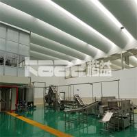 China KAAE Blueberry Berry Juicer Processing Line Strawberry Beverage Making Machine for sale