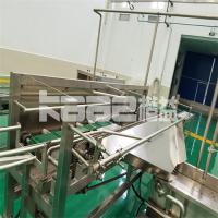 China KAAE Blueberry Berry Juicer Processing Line Strawberry Beverage Making Machine for sale