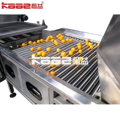 China High Accuracy 2000KG/H NFC Juice Processing Line With Food Grade Stainless Steel for sale