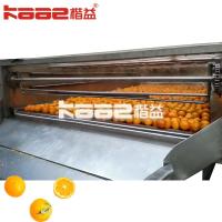 China Complete Fresh Fruit NFC Juice Processing Line Drink Making Equipment Automated for sale