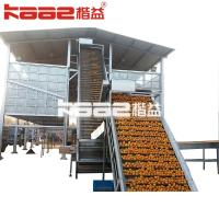 China Complete Fresh Fruit NFC Juice Processing Line Drink Making Equipment Automated for sale