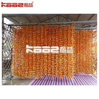 China Intelligent House Dryer In Persimmons Grapes Apricots And Many Fruits And Vegetables for sale
