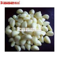 China Automatic pumpkin /garlic/tomato/banana/apple/pear pulping machine for sale