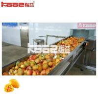 China Efficient Food Grade Stainless Steel Fresh Fruit Mango Processing Line Fruit Juice Machine for sale