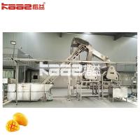 China Efficient Food Grade Stainless Steel Fresh Fruit Mango Processing Line Fruit Juice Machine for sale