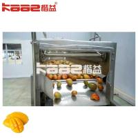 China Food Grade SS304  Mango Juice Production Line For Juice Processing Plant for sale