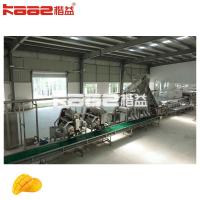 China Efficient Food Grade Stainless Steel Fresh Fruit Mango Processing Line Fruit Juice Machine for sale