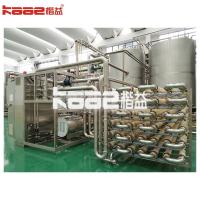 China Hygienic Complete Juice Production Line Processing Machine For Berry Juicer Machine for sale