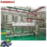 China Easy To Operate New Technology Advanced Berry Juicer Machine For Blueberry Raspberry for sale