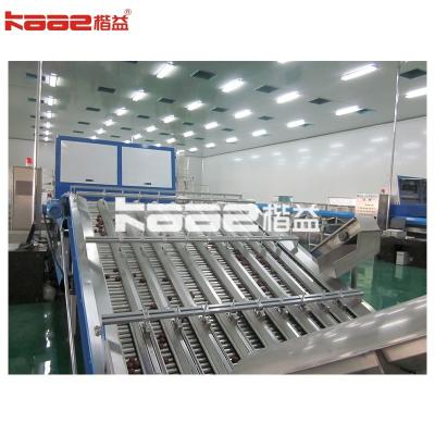 China 0.5-30T/H Automatic Photoelectric Fruit Sorting System Automatic Fruit Grading Machine for sale
