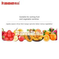 China Automatic Photoelectric Fruit Sorting System Equipment For Grading Of Fruits And Vegetables for sale