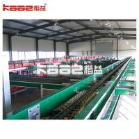China Automatic Photoelectric Fruit Sorting System Equipment For Grading Of Fruits And Vegetables for sale