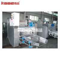 China Pineapple Yellow Peach Canned Fruits And Vegetables Production Line for sale