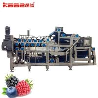 China 0.5-20MT/H Fruit Apple Concentrated Juice Production Line For Beverage Production Enterprise for sale