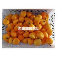 China Industrial Dried Persimmon Processing Line Machine 304 Stainless Steel for sale