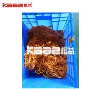 China Industrial Dried Persimmon Processing Line Machine 304 Stainless Steel for sale