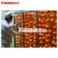 China Industrial Dried Persimmon Processing Line Machine 304 Stainless Steel for sale