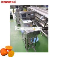 China Industrial Dried Persimmon Processing Line Machine 304 Stainless Steel for sale
