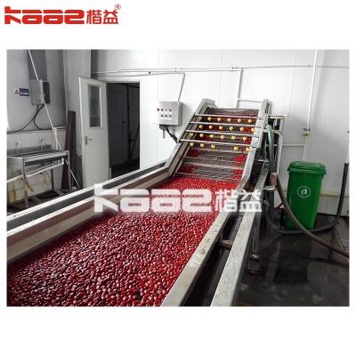 China Production Line High Efficiently Dates Processing Machine Easy Operation for sale