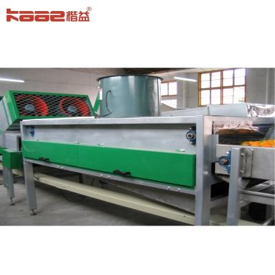 China Modern Friuts Sorting Technology Automatic Fruit Photoelectric Sorting System for sale