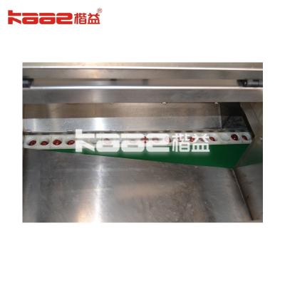 China SUS304 Stainless Steel Jujube Dates Processing Machine With Sorting And Drying for sale