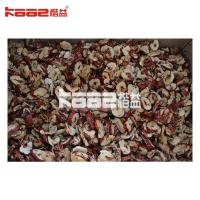 China Easy Operation Fresh Vegetable Fruits Dates Processing Machine Line for sale