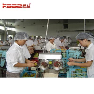 China Food Grade Stainless Steel Material Lifting Canned Food Production Line for sale