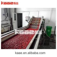 China Fully automatic Dates Processing Machine CE jujube deep processing production line for sale
