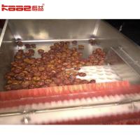 China Turnkey Project Dates Drying Machine 500kg/H Date Syrup Palm Dates Production Lines for sale