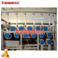China Red Bayberry 500kg-30t/H Concentrated Juice Processing Line SUS304/316 for sale